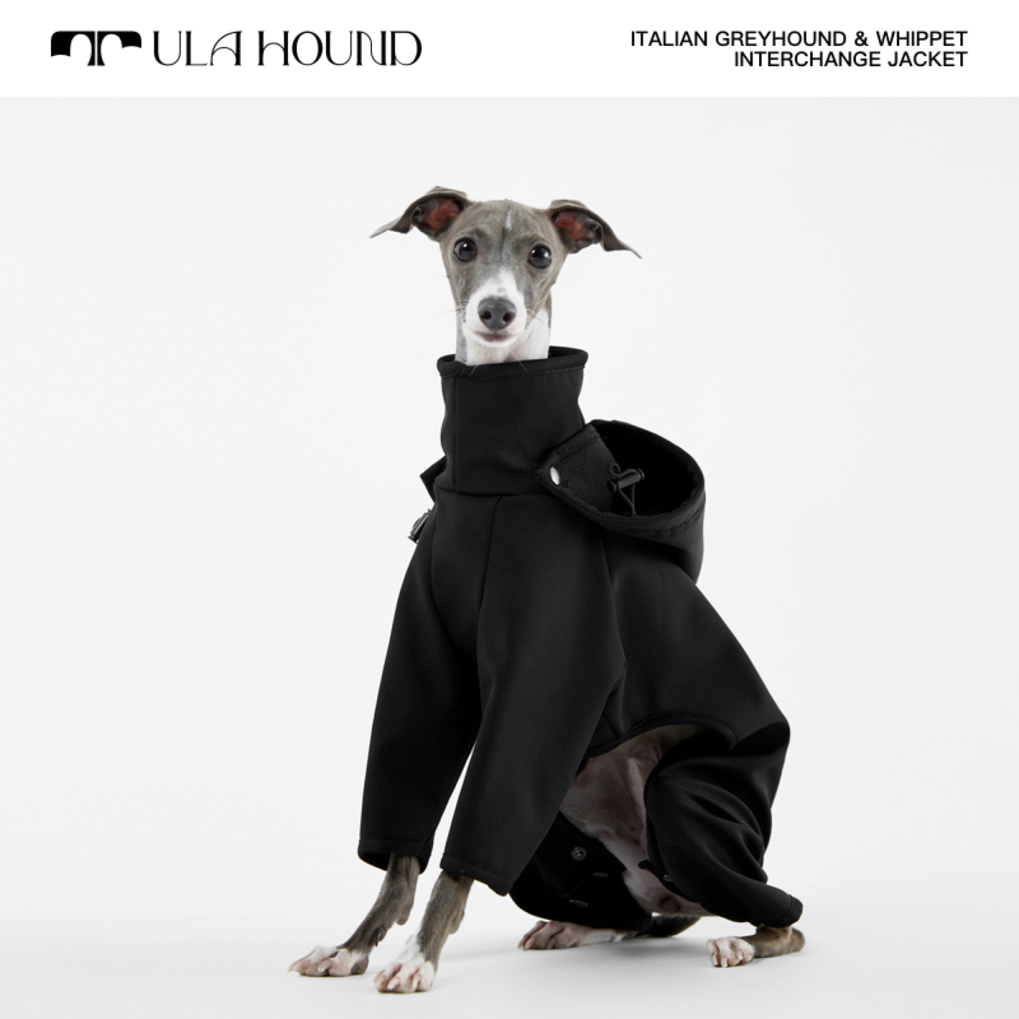 ITALIAN GREYHOUND & WHIPPET INTERCHANGE JACKET – Ula Hound